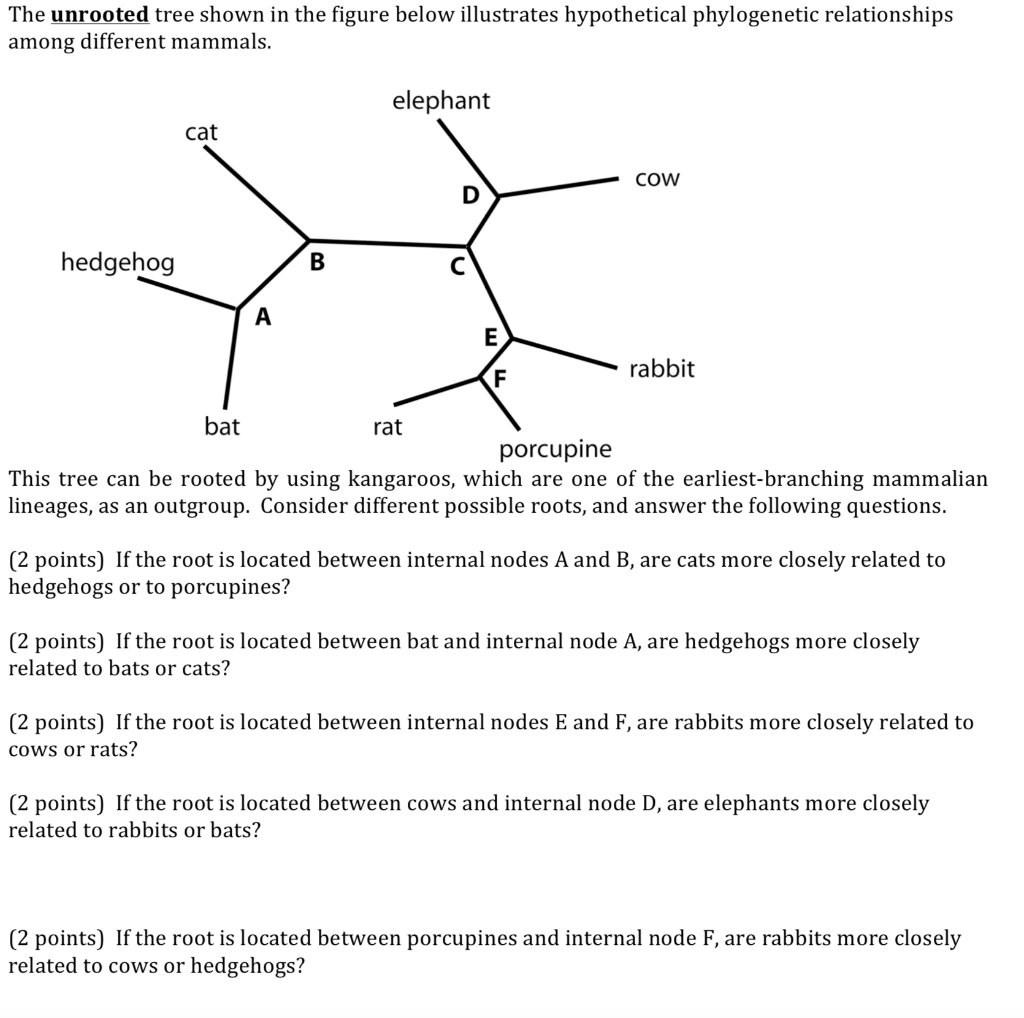 Solved The unrooted tree shown in the figure below | Chegg.com