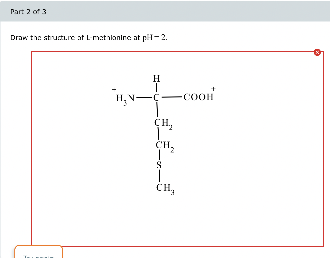 Solved Consider The Structure Of The Amino Acid