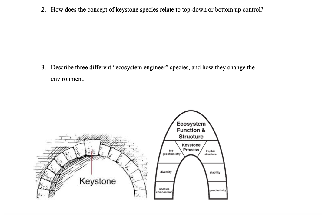 Solved 2. How does the concept of keystone species relate to | Chegg.com