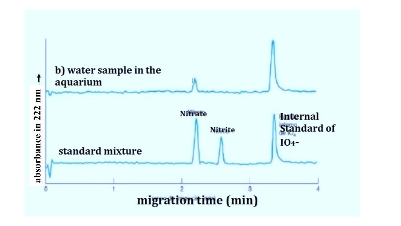 Solved The electropherogram in the adjacent figure was | Chegg.com
