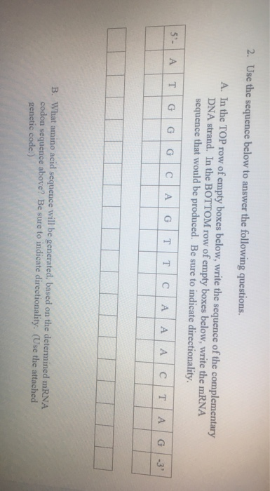 Solved 1. Given the wild-type sequence of | Chegg.com