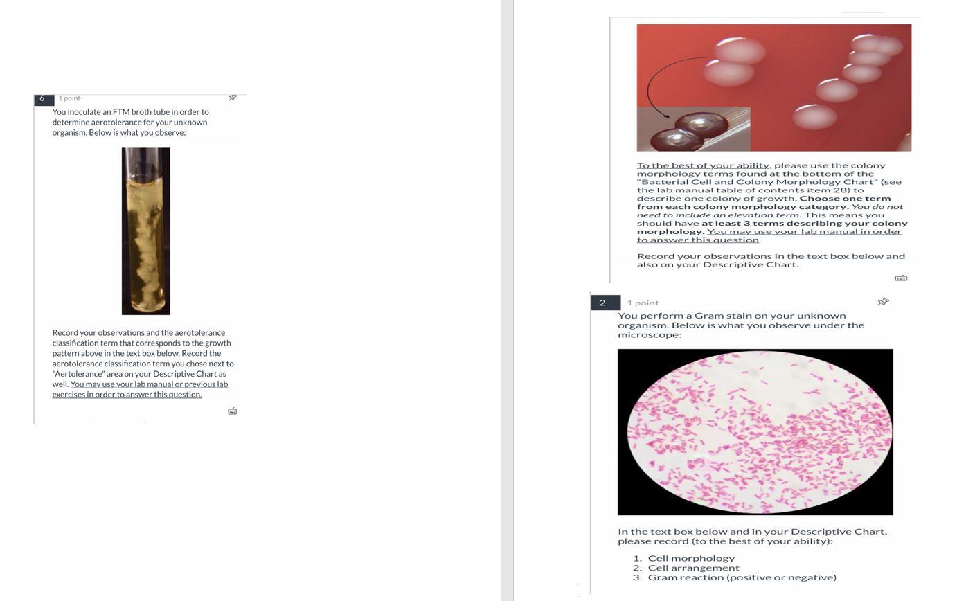 Solved 1 point You inoculate an FTM broth tube in order to | Chegg.com