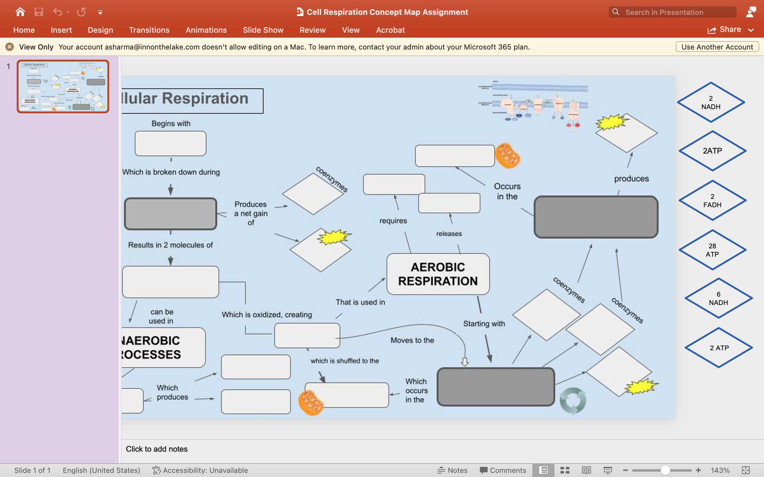 Solved Transitions Animations Slide Show Review Q Search in | Chegg.com