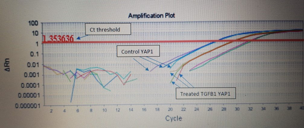 Solved Analyse this amplification plot and state what each | Chegg.com
