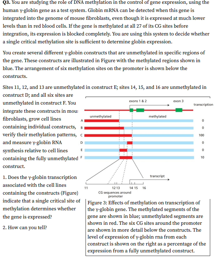 Solved Q3. You are studying the role of DNA methylation in | Chegg.com