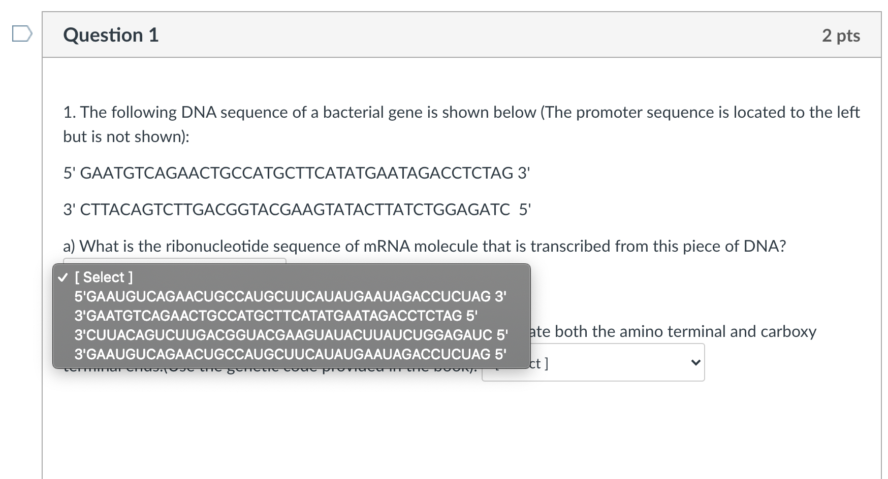 Solved Question 1 2 pts 1. The following DNA sequence of a | Chegg.com