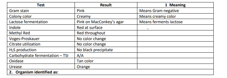 Solved \begin{tabular}{|l|l|l|} \hline \multicolumn{1}{|c|}{ | Chegg.com