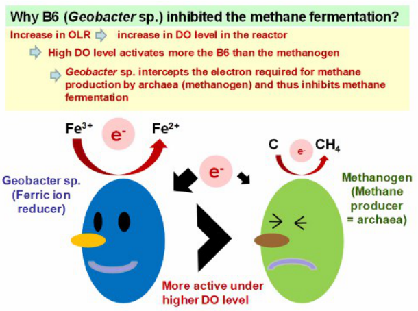 Solved Please explain state the reason why Geobacter sp. | Chegg.com