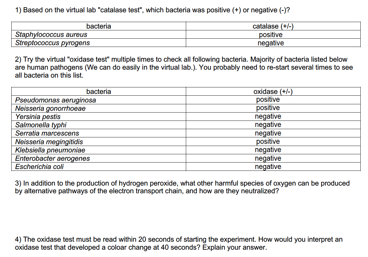 Solved 1) Based on the virtual lab "catalase test", which | Chegg.com