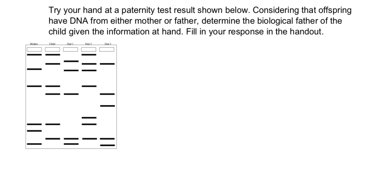 Solved Try your hand at a paternity test result shown below. | Chegg.com