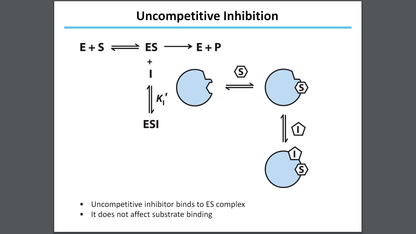 Solved Uncompetitive InhibitionUncompetitive inhibitor binds | Chegg.com