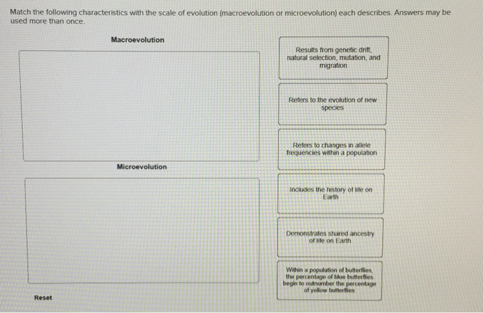 Solved Match The Following Characteristics With The Scale Of