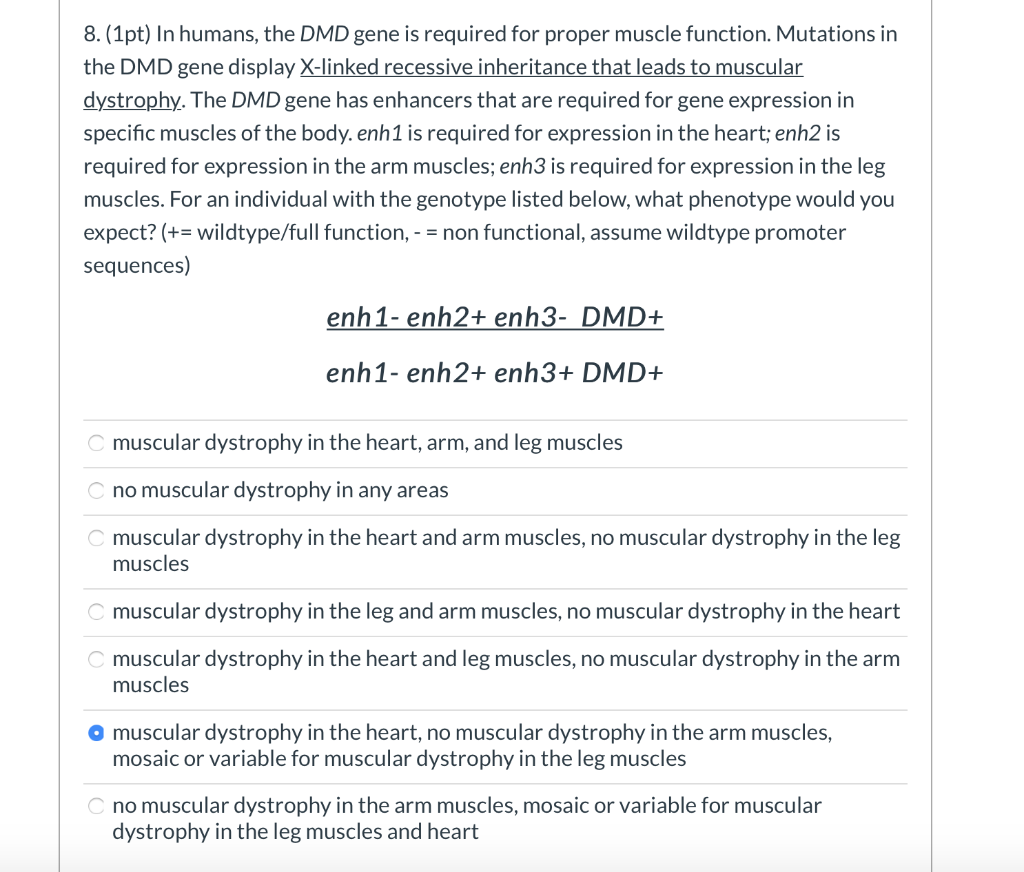 Solved 8. (1pt) In humans, the DMD gene is required for | Chegg.com