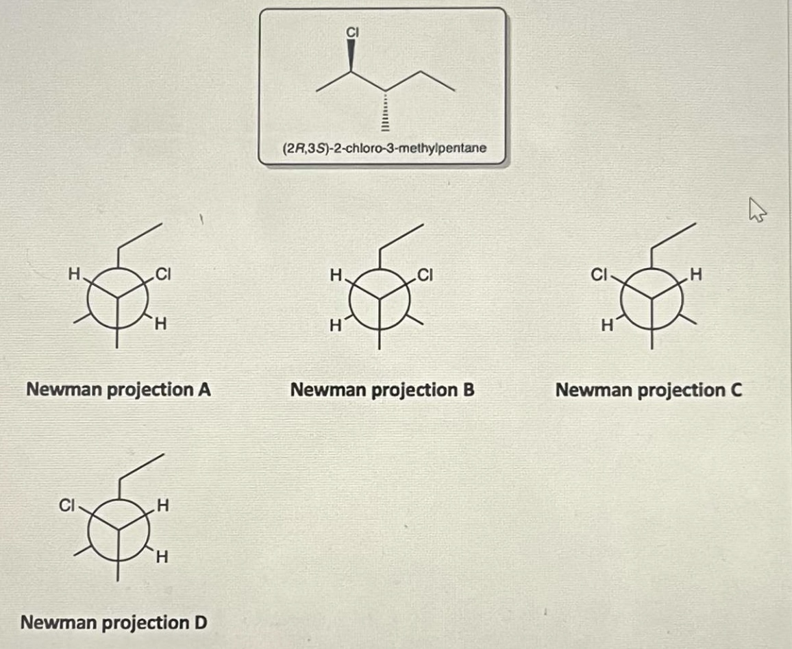Solved Which of the following Newman projections correctly | Chegg.com