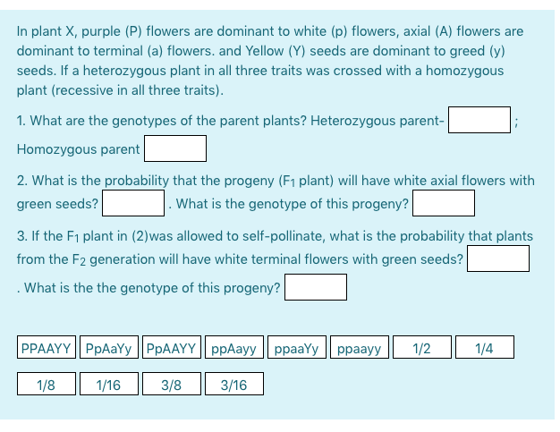 Solved In plant X, purple (P) flowers are dominant to white | Chegg.com