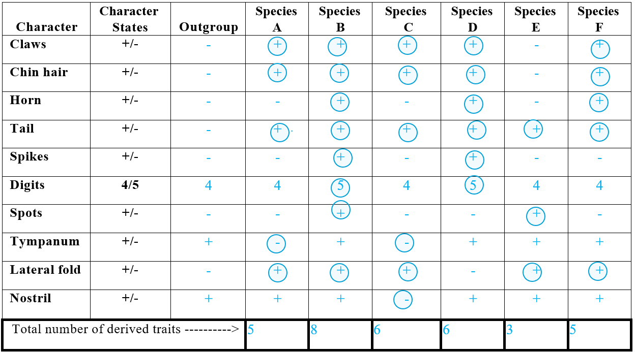 Solved Q: Use the matrix to draw a cladogram depicting | Chegg.com