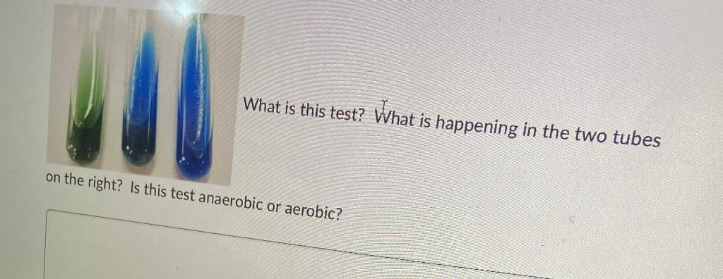 Solved What is this test? What is happening in the two tubes | Chegg.com