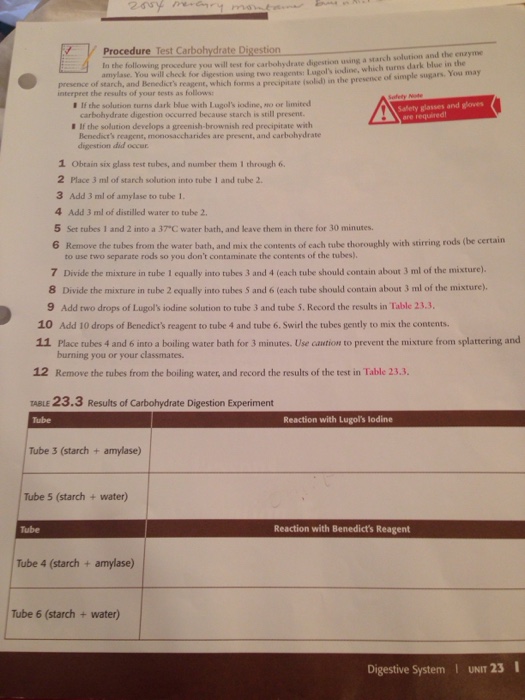 Solved Pre-Lab Exercise 233 Digestive Enzymes Brush border | Chegg.com