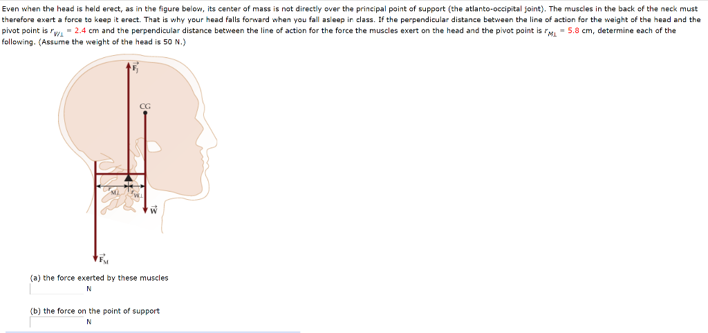 Solved Even when the head is held erect, as in the figure | Chegg.com