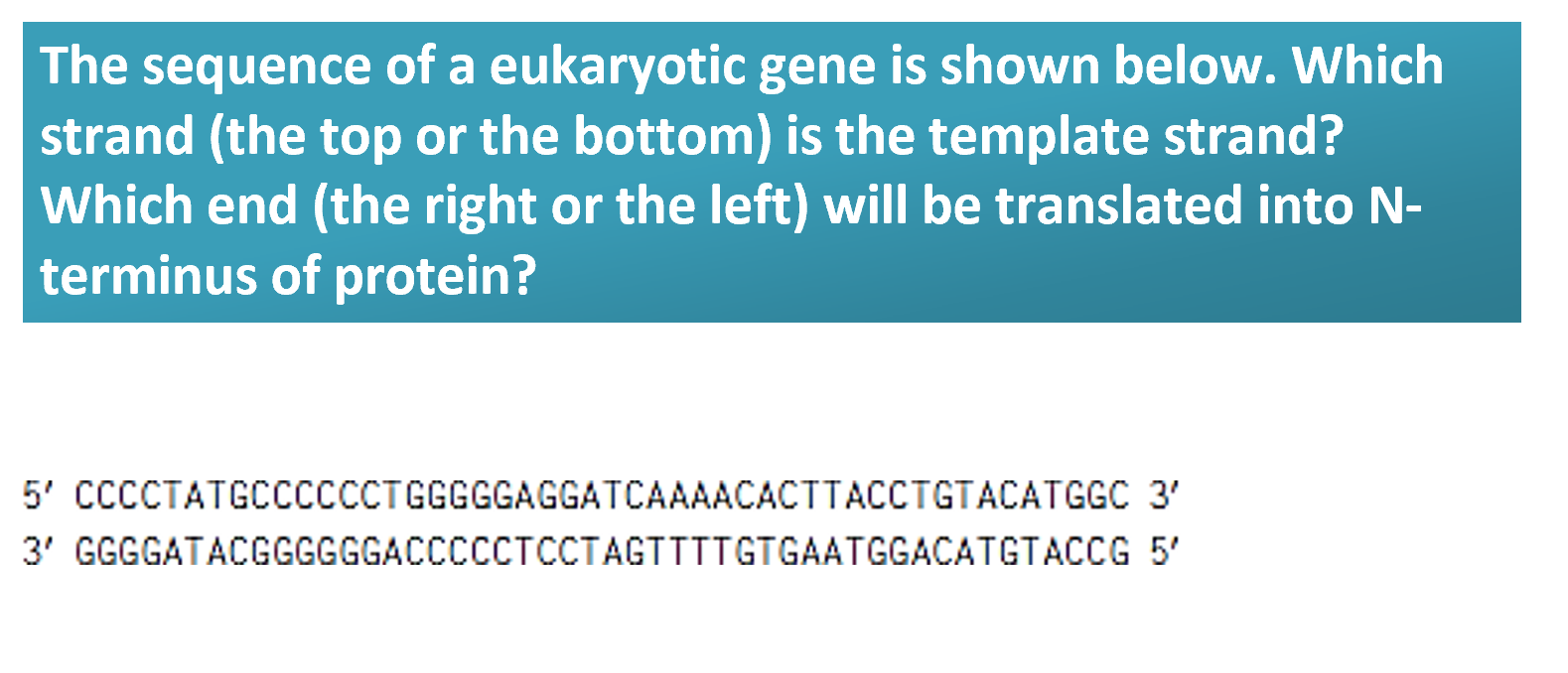 Solved The sequence of a eukaryotic gene is shown below. | Chegg.com