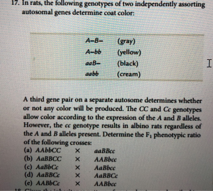 Solved 17. In rats, the following genotypes of two | Chegg.com