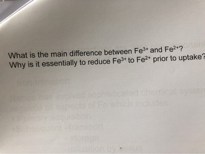 What is the main difference between Fe3+ and Fe2+? | Chegg.com