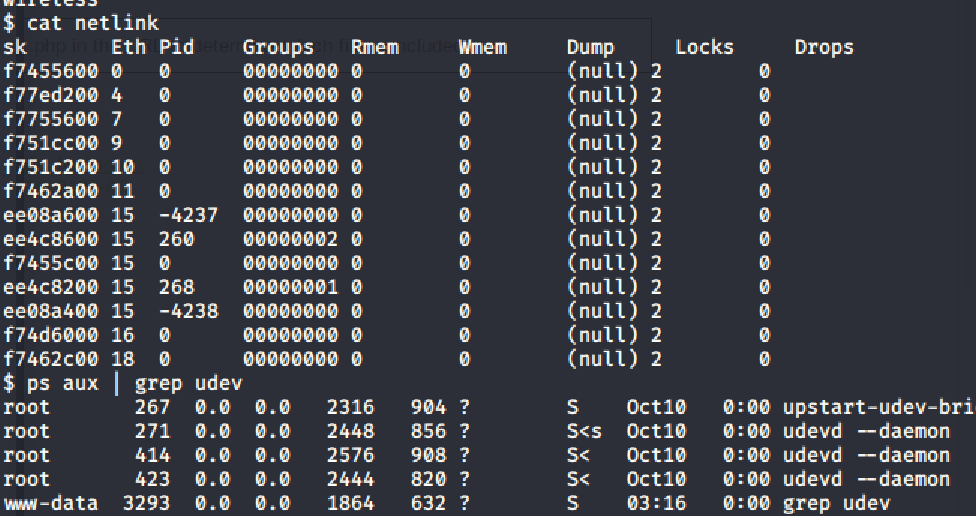 Solved Hello experts, I am trying to do privilege escalation | Chegg.com