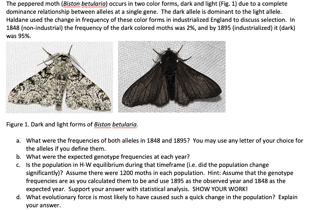 Solved The peppered moth (Biston betularia) occurs in two | Chegg.com