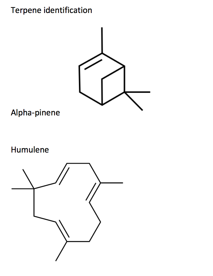 Solved Terpene identification Alpha-pinene Humulene | Chegg.com