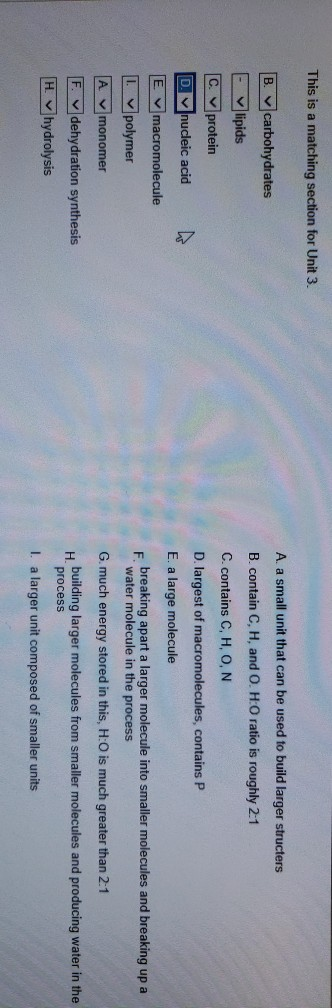 Solved This is a matching section for Unit 3. A. a small | Chegg.com