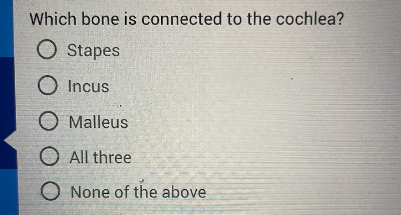 Solved Which bone is connected to the cochlea? Stapes Incus | Chegg.com