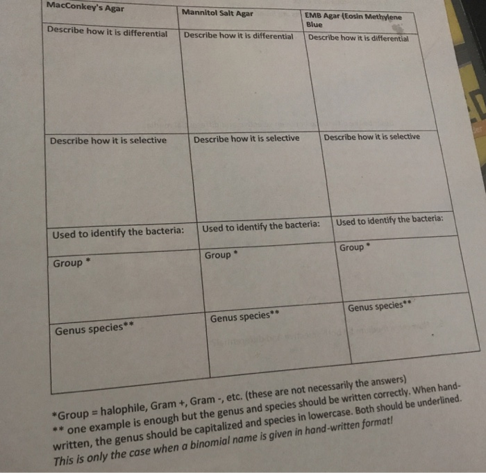 Solved MacConkey's Agar Mannitol Salt Agar Describe how it | Chegg.com