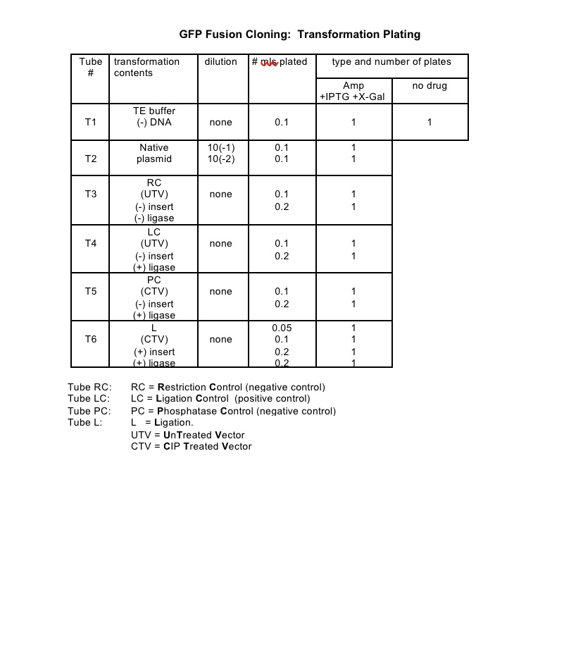 GFP Fusion Cloning: Transformation Plating Tube | Chegg.com