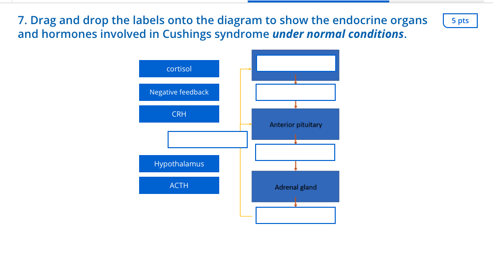 Solved Drag and drop the labels onto the diagram to show the | Chegg.com