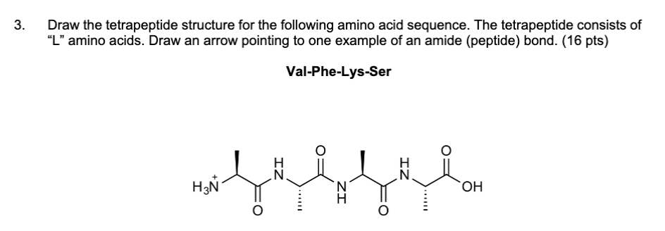 Solved 3. Draw the tetrapeptide structure for the following | Chegg.com