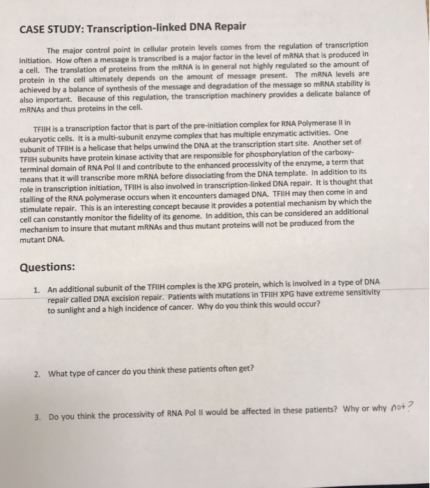 Solved CASE STUDY: Transcription-linked DNA Repair The major | Chegg.com