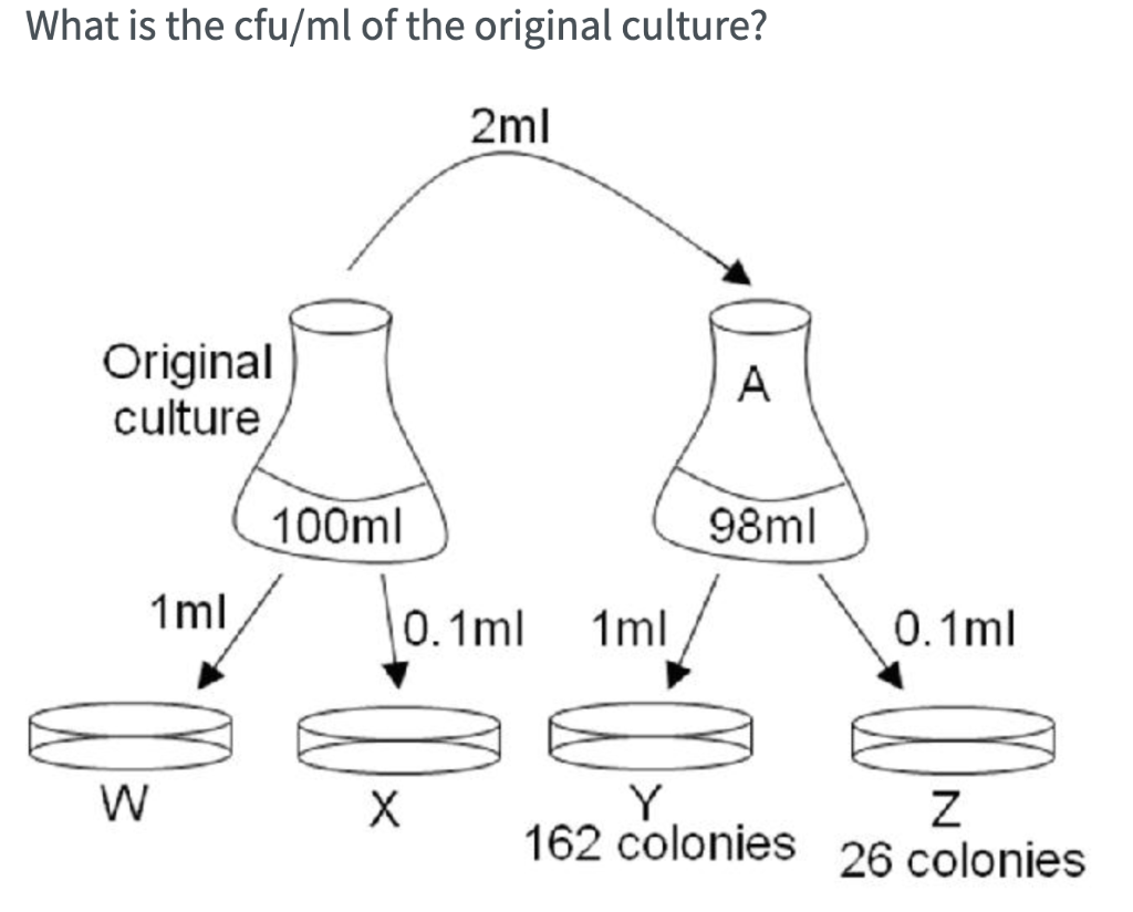 Solved What is the cfu/ml of the original culture? | Chegg.com