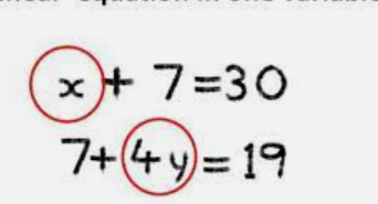 Solved x+ 7=30 X 7+(+9) = 19 | Chegg.com