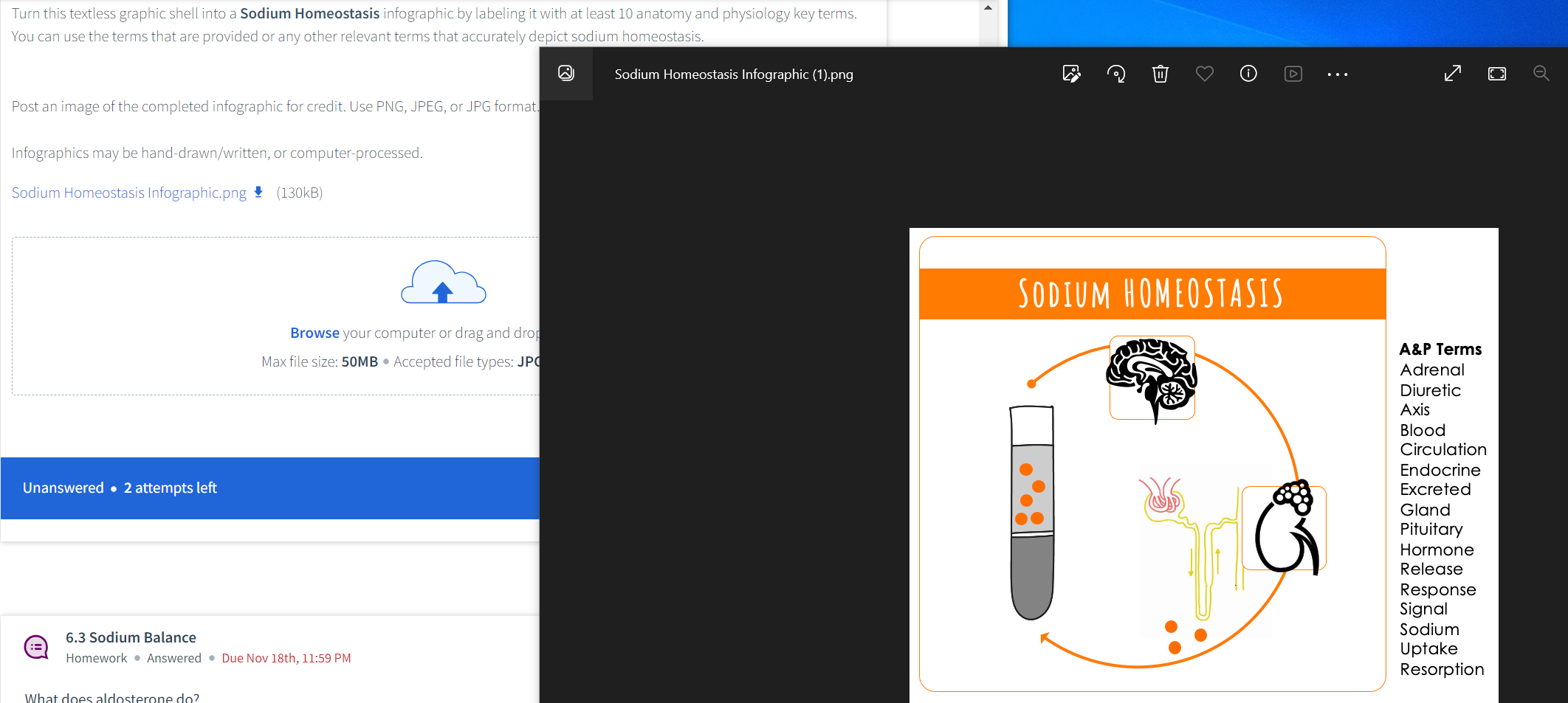 Solved Turn this textless graphic shell into a Sodium | Chegg.com