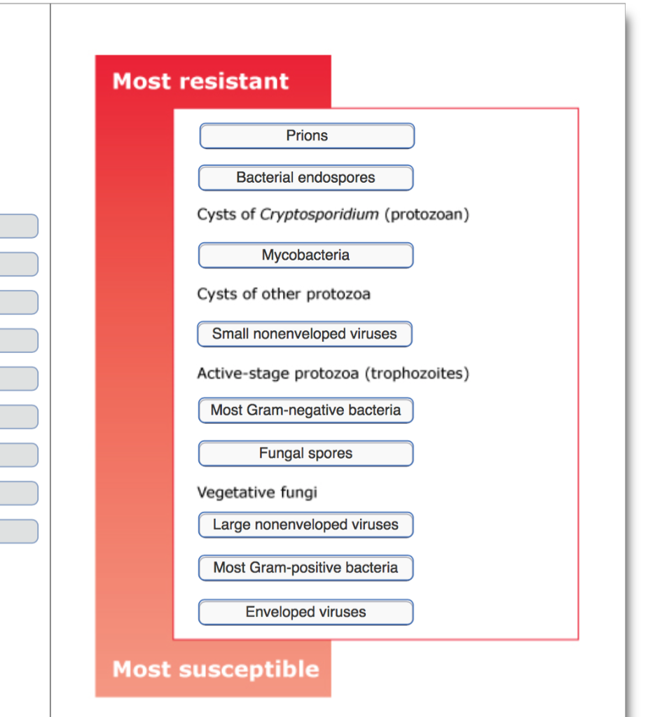 Solved Place the various organisms in order from most | Chegg.com