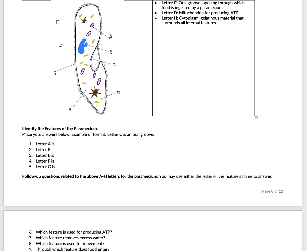 Solved Activity 3: Components in a protist: Labeling All | Chegg.com