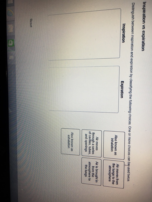 Solved Distinguish between inspiration and expiration by | Chegg.com