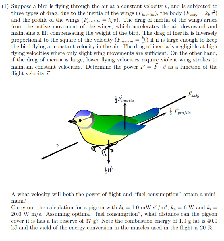 Solved (1) Suppose a bird is flying through the air at a | Chegg.com