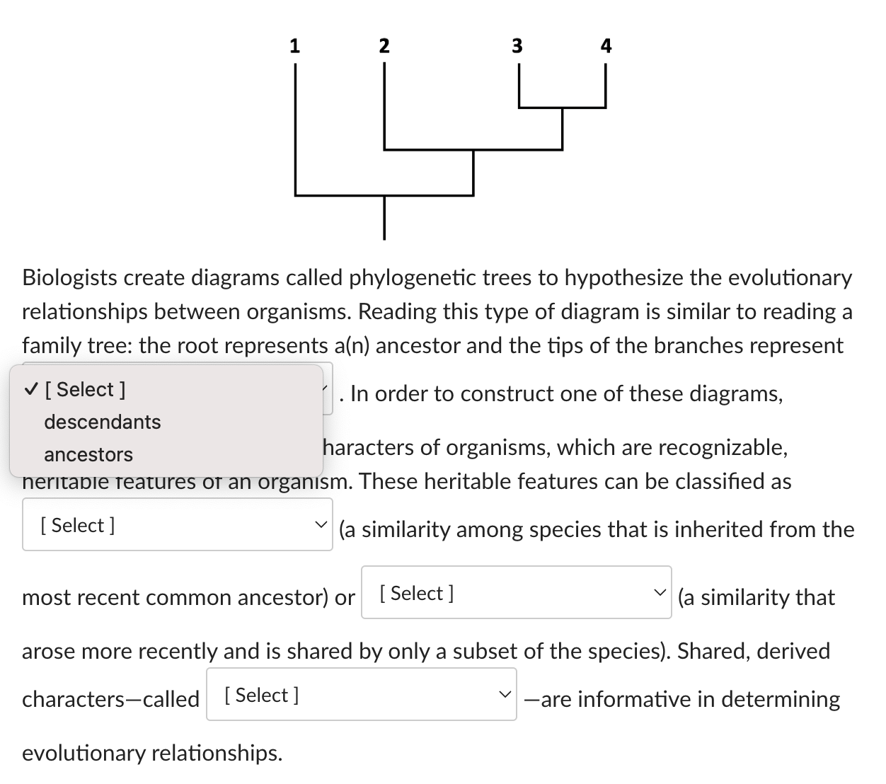 Solved Biologists create diagrams called phylogenetic trees | Chegg.com