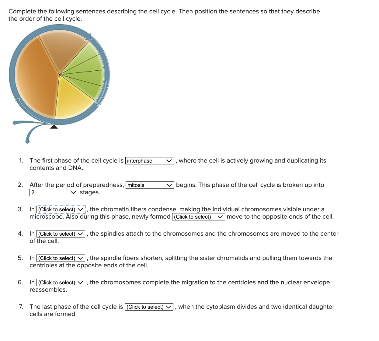 Solved Complete the following sentences describing the cell | Chegg.com