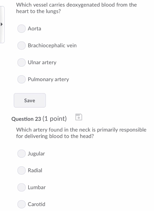Solved Which vessel carries deoxygenated blood from the | Chegg.com