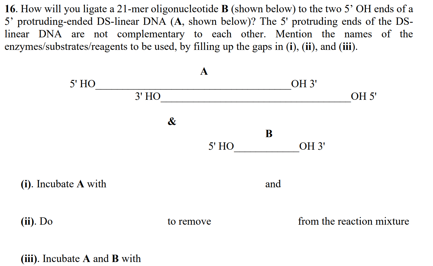 Solved How will you ligate a 21-mer oligonucleotide B (shown | Chegg.com
