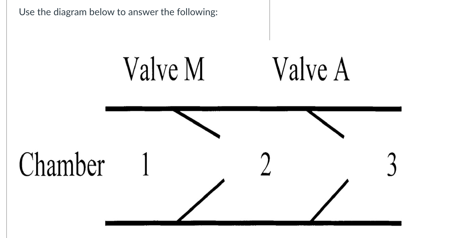 Solved Choose the best answers for the following | Chegg.com