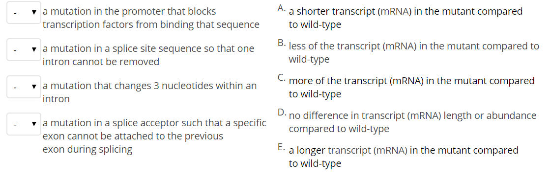 Solved Match each type of mutation described below with the | Chegg.com