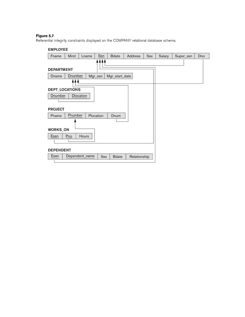 Creating a Relational Database Schema from ER Diagram | Chegg.com